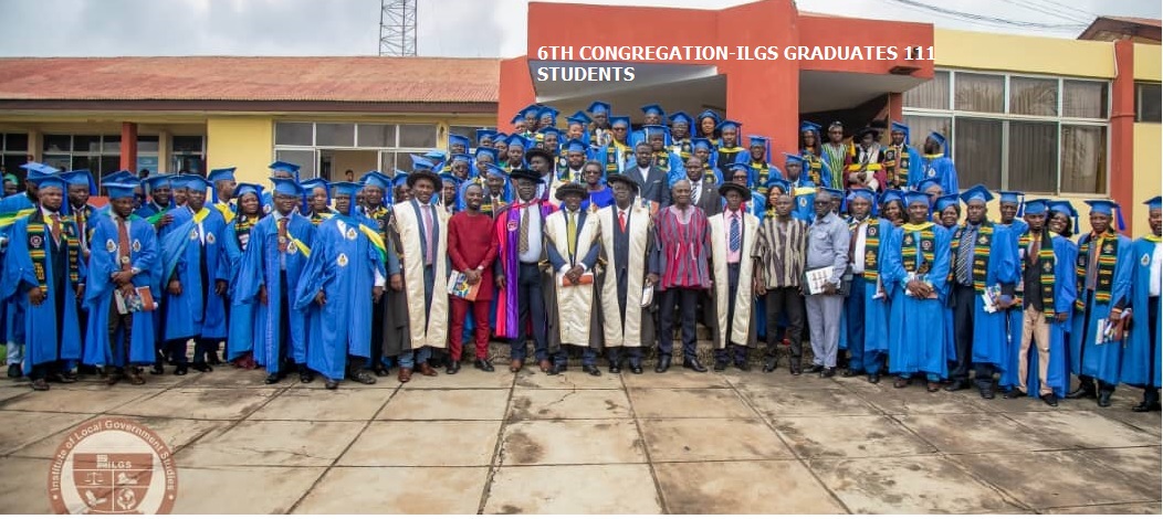 The Institute of Local Government Studies:Building Capacity for Local ...